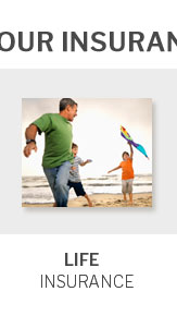 Insurance Company Llc 👪 Jan 2026